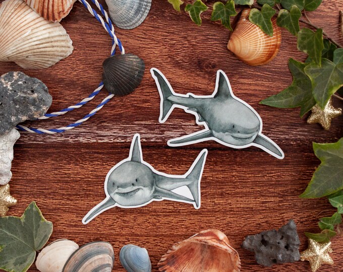 Shark Sticker Set - Etsy UK