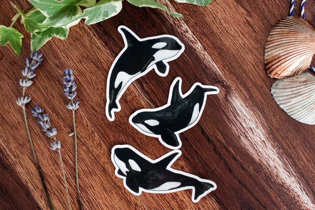Orca Sticker Pack of 3 Watercolor Illustration - Etsy