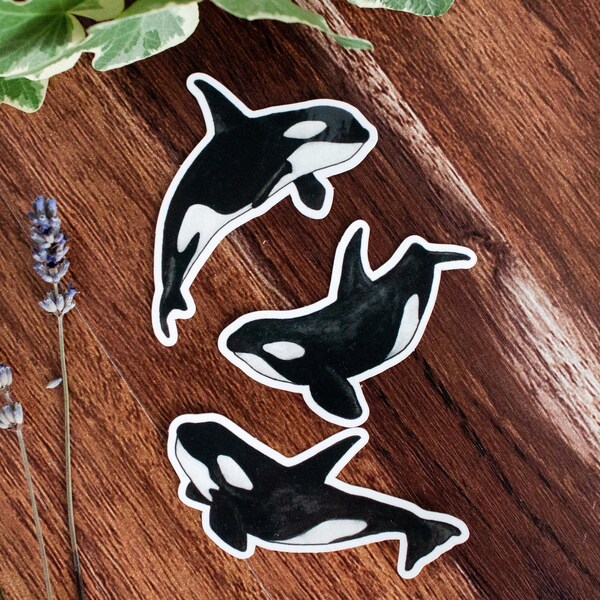 Orca - Etsy
