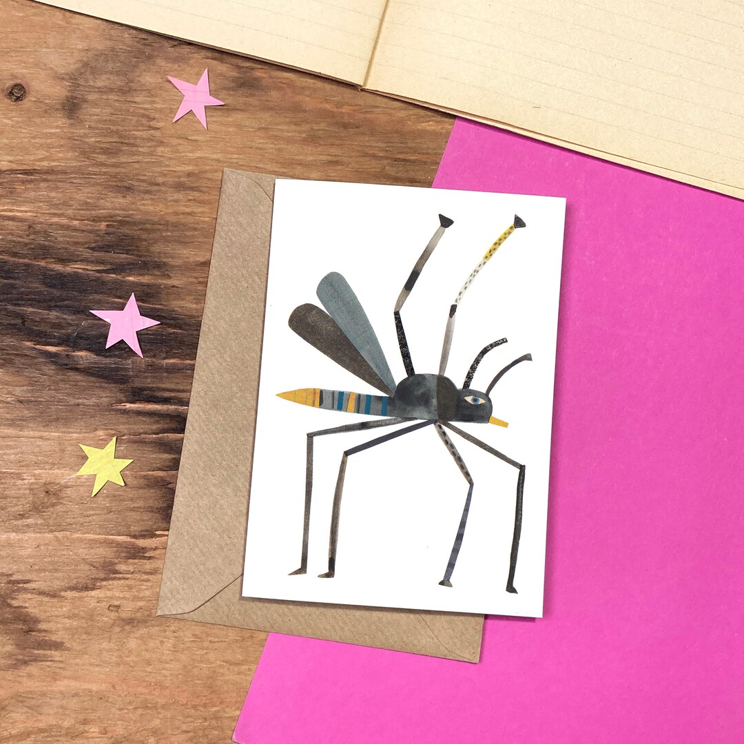 Royal Splinter Cranefly - an Endangered British Bug - A6 Illustrated ...