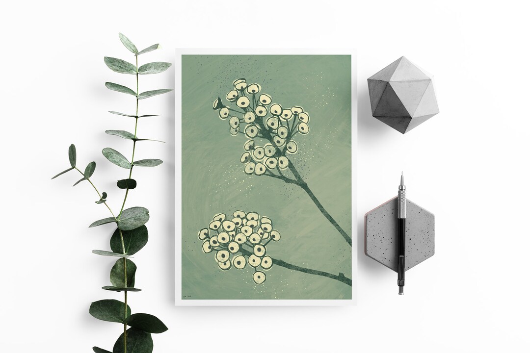 Seed Pods Poster. Nature Study Contemporary Art. Plant Illustration ...