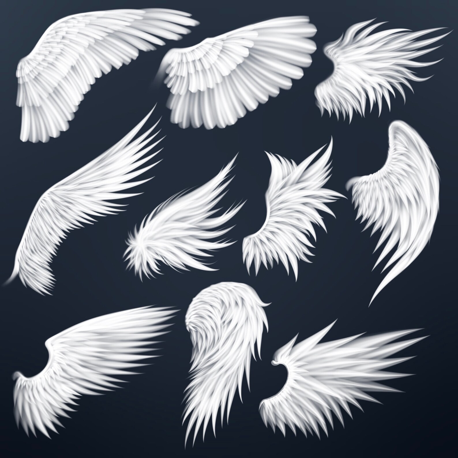 Wing Stamps for Procreate | Etsy