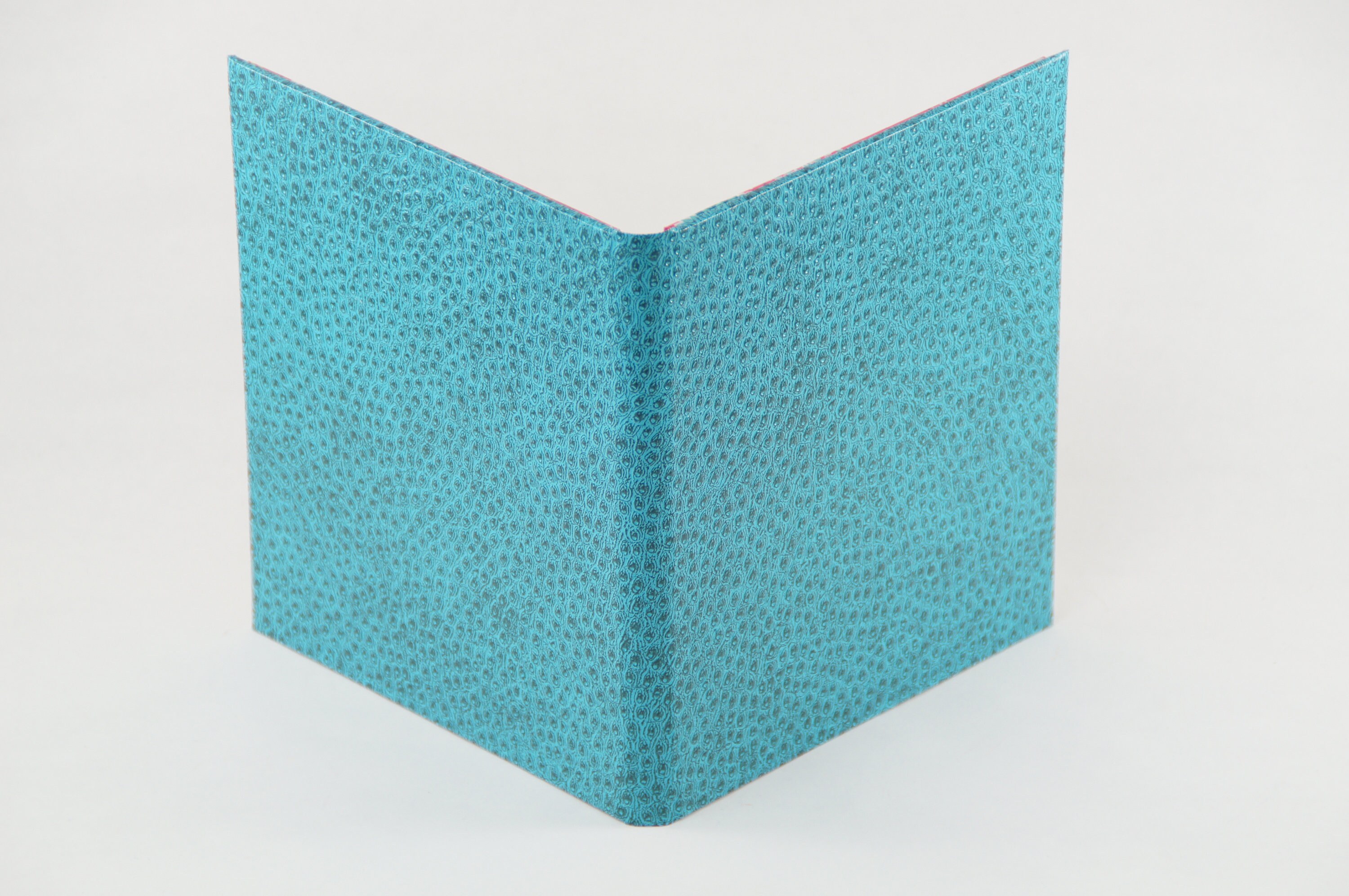 Blue Red Album, Handmade Paper Frame, Freestanding Photo Frame, Double ...