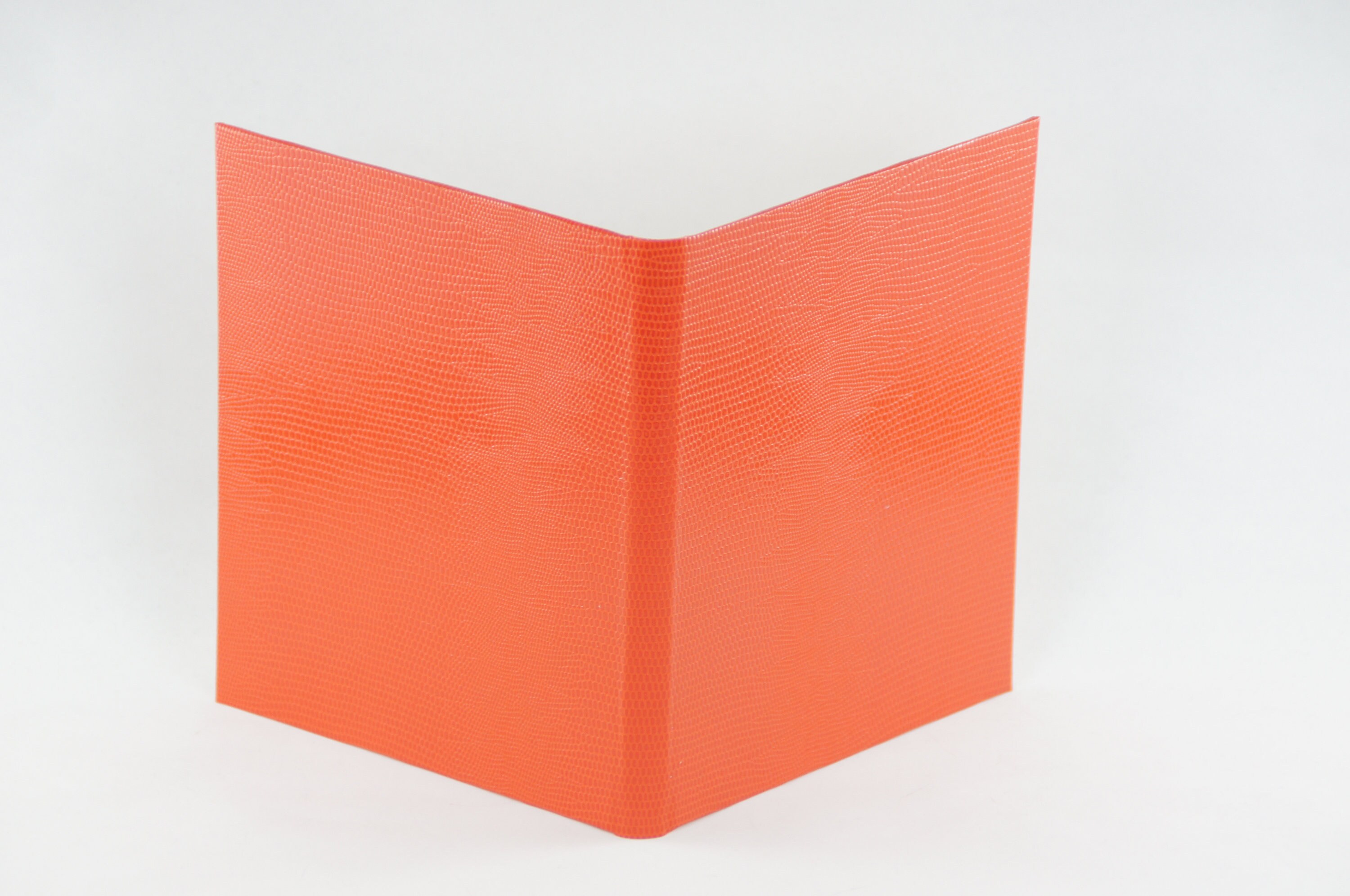 Orange Album, Handmade Paper Frame, Freestanding Frame, Double Frame ...