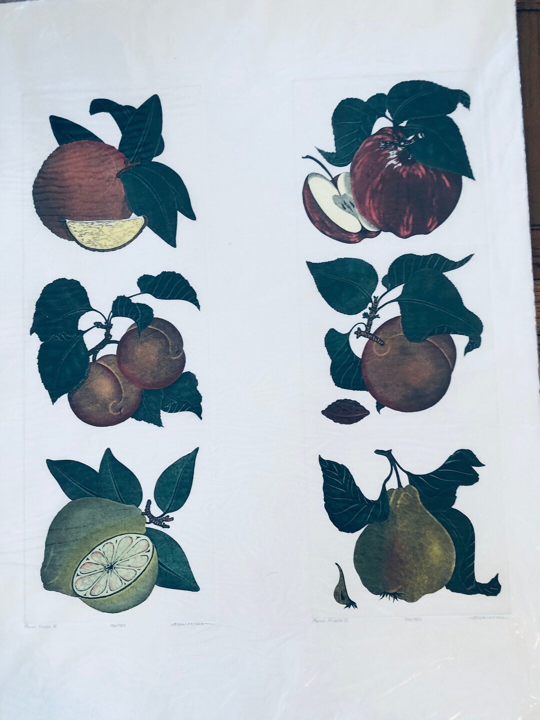 Panel Fruits - Etsy