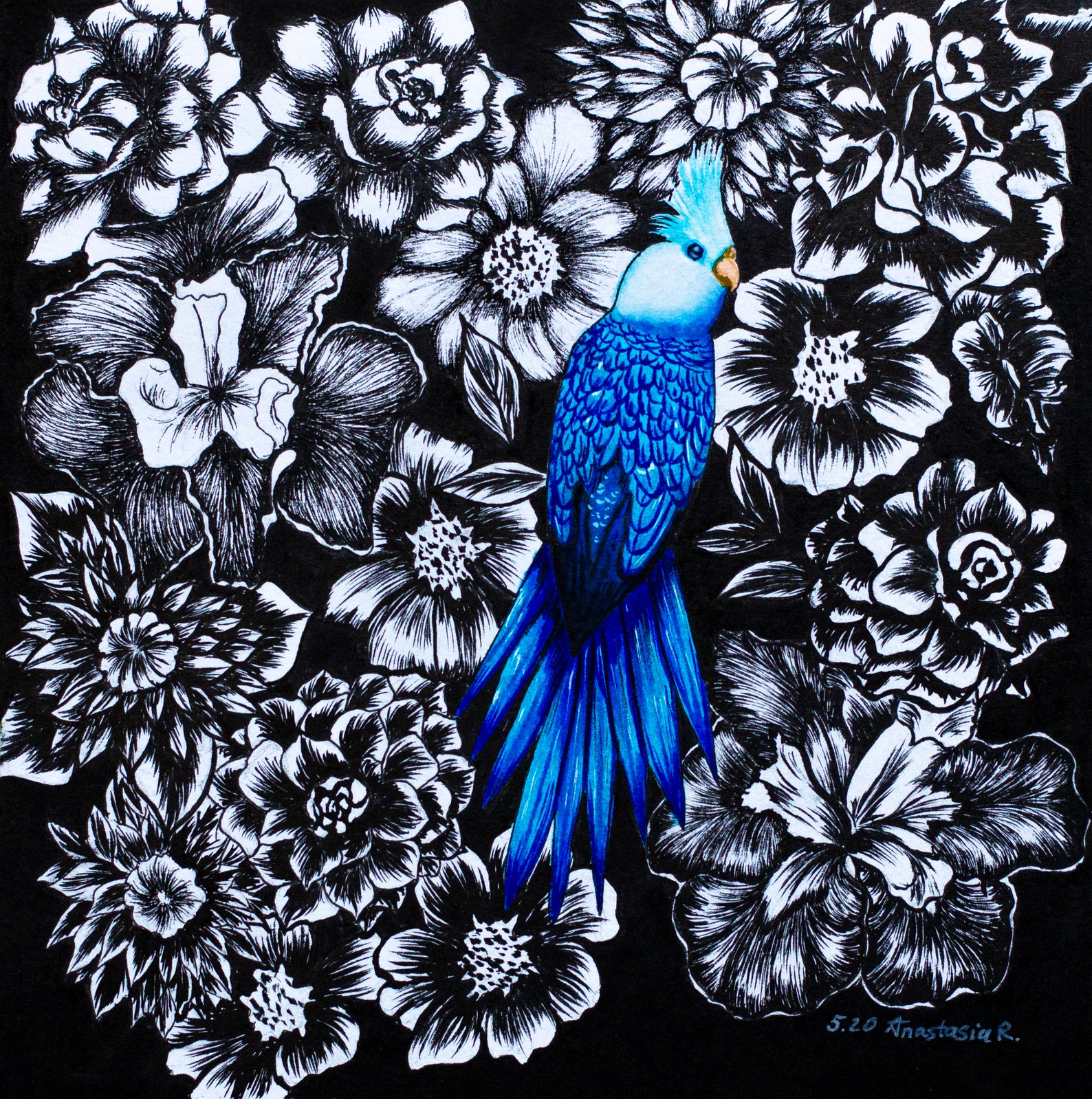 Blue Bird and Black and White Flowers Art Print Wall Decor | Etsy