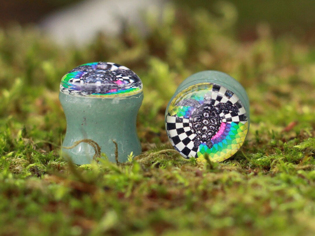 Rainbow Turtle Stone Picture Plugs Gauges | Aventurine Stone Plugs ...