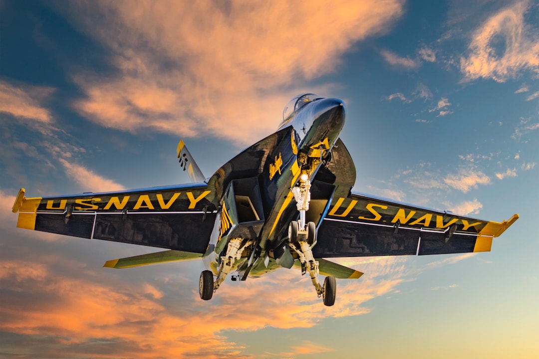 Blue Angel at Sunset - Etsy