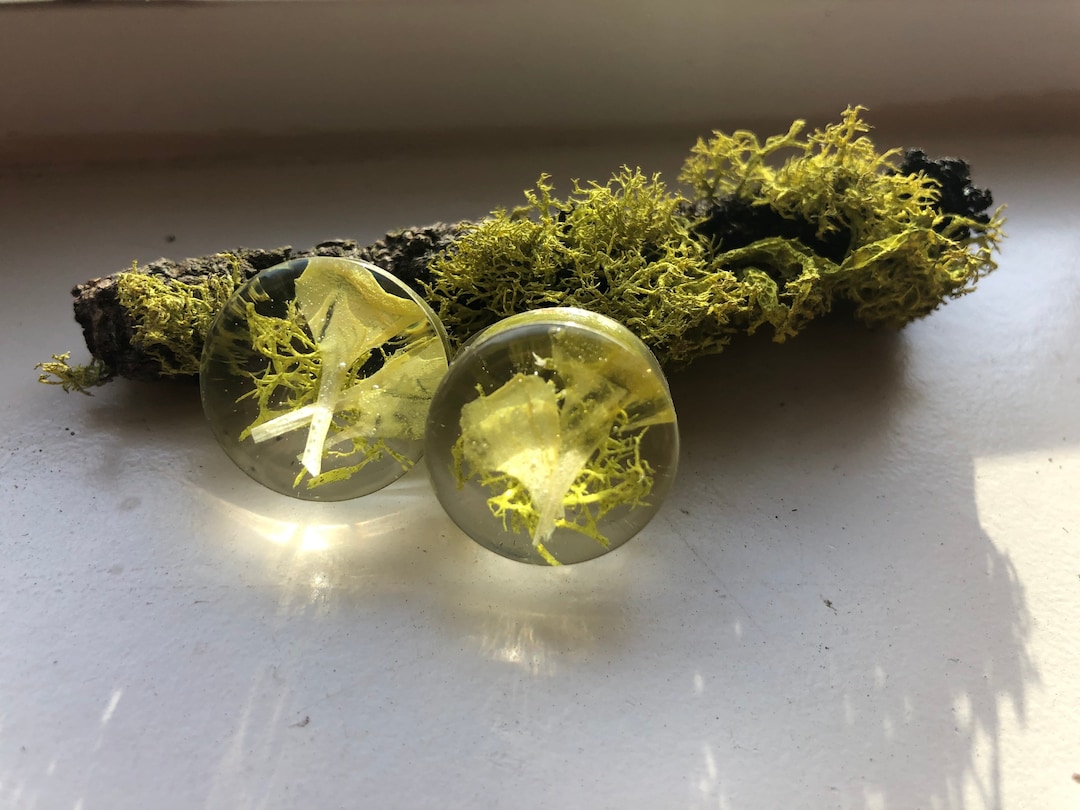 3/4” Floral Moss Plugs Gauges - Etsy