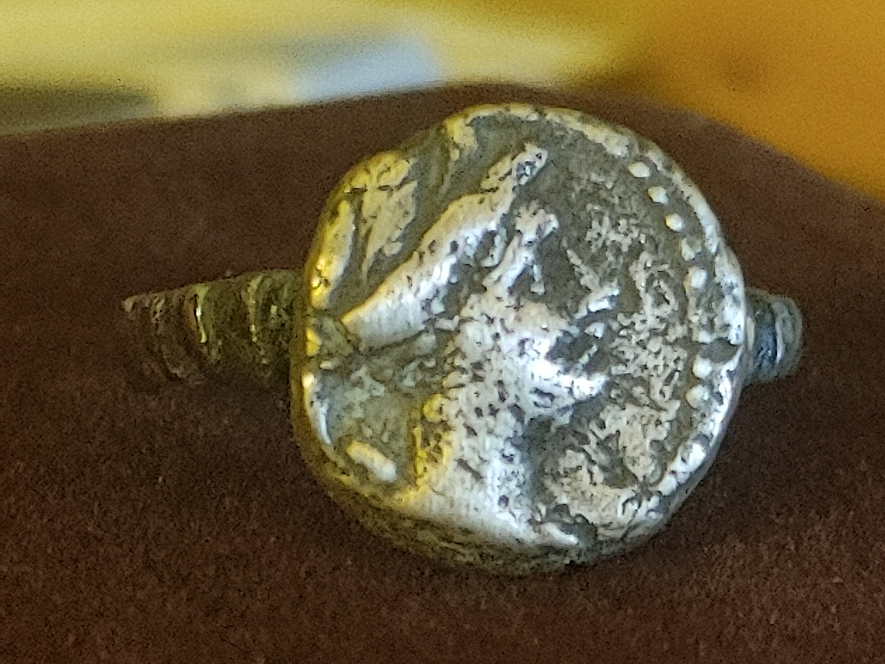 Authentic Ancient Greek Coin Ring, Larissa of Thessaly, Size 10 With ...