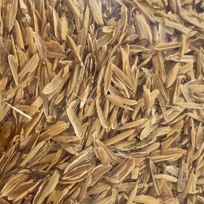 100% Organic Rice Hulls - Etsy