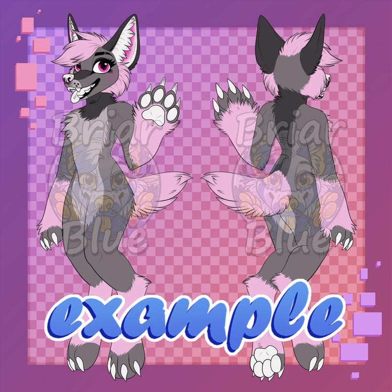 Furry Anthro Canine Reference Sheet Base for Wolves, Foxes, Dogs, Etc. (PSD File) - Etsy