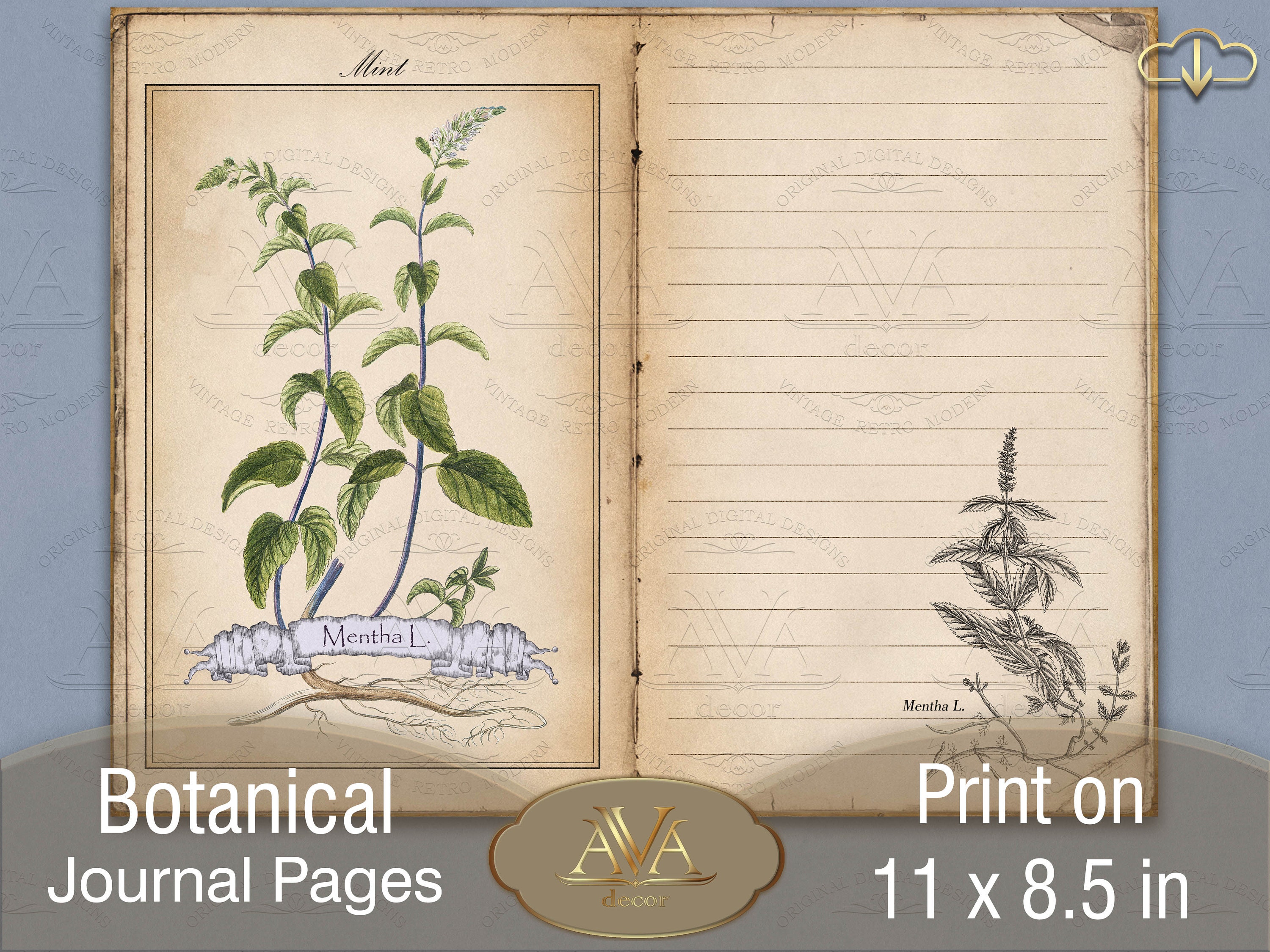 Botanical Journal Pages Printable Lined & Blank Herb Junk | Etsy