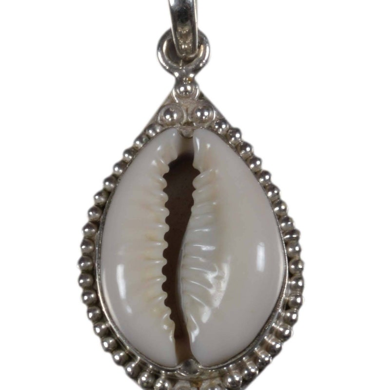 Cowrie Shell Pendant - Etsy