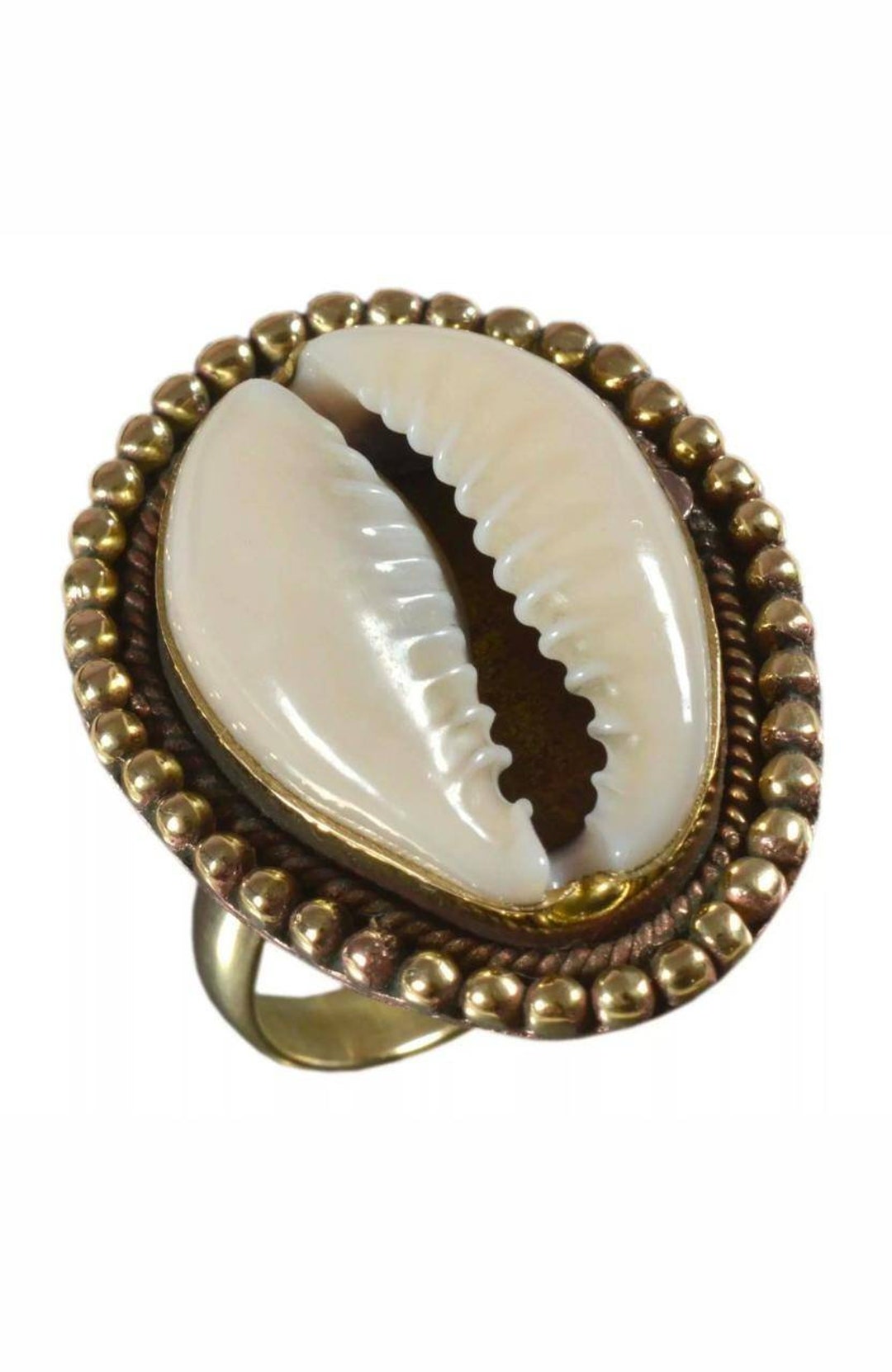 Natural Cowrie Shell Ring Solid Brass Cowrie Shell Ring - Etsy