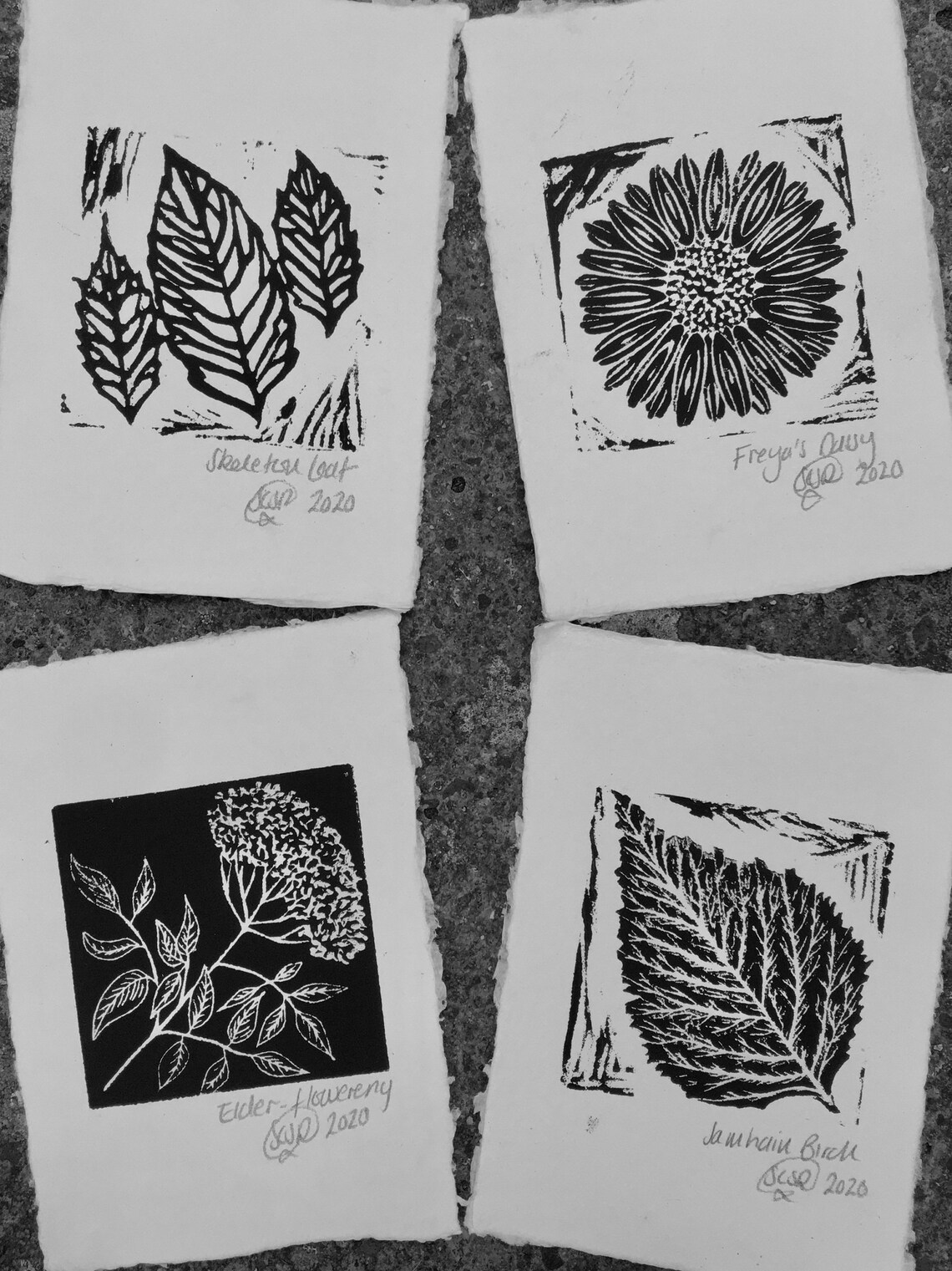 Skeleton Leaf Original Linocut Print - Etsy