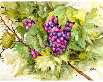 Grapevine Watercolor - Grapes in the Vine Art - Etsy