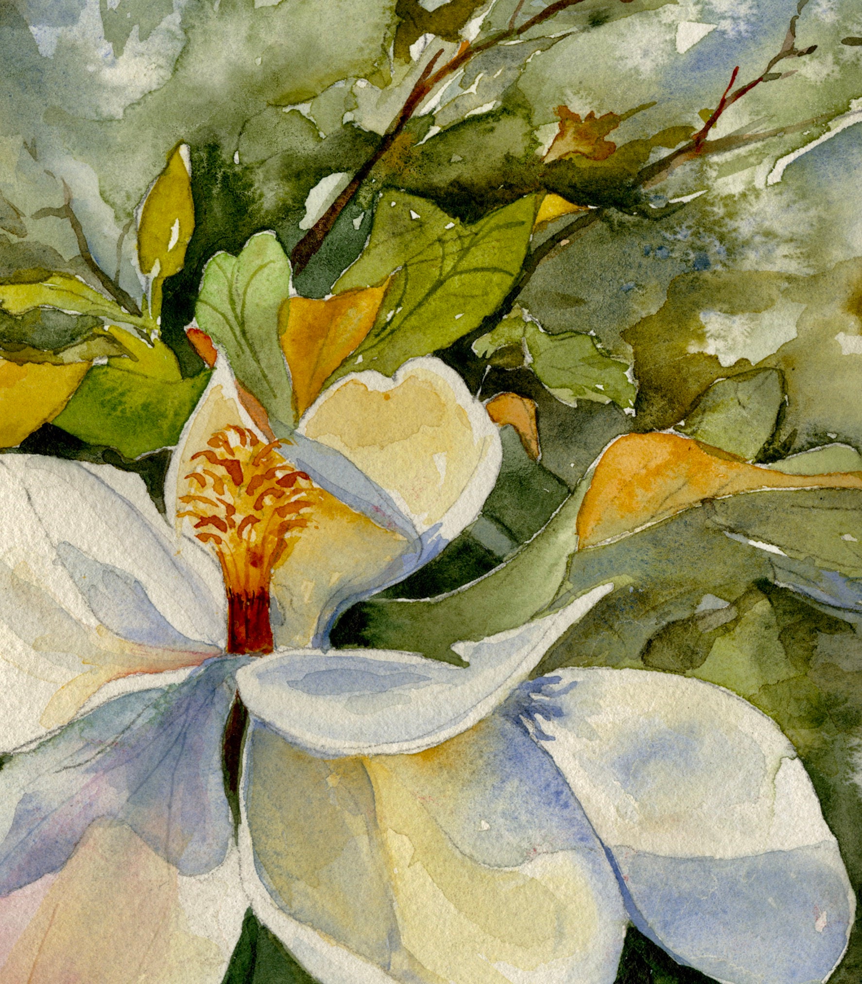 White Magnolia Watercolor Painting/ Magnolia Giclee Art Print/ - Etsy