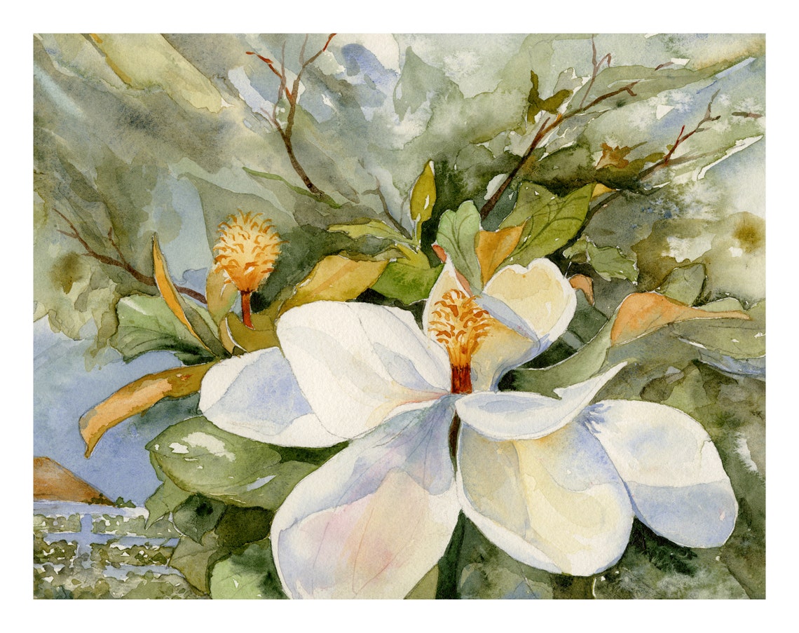 White Magnolia Watercolor Painting/ Magnolia Giclee Art Print/ - Etsy