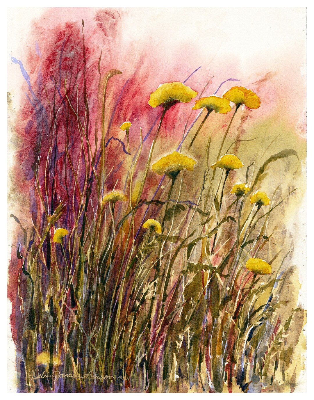 Yarrow Watercolor Painting/ Yellow Yarrow/ Wild Flowers/ Golden Yarrow ...