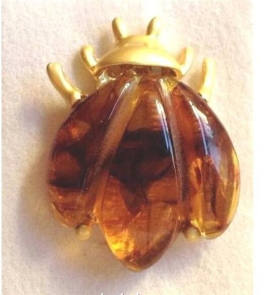 Vintage Gold Honey Amber Beetle Pin Brooch Bug Bumble Bee | Etsy