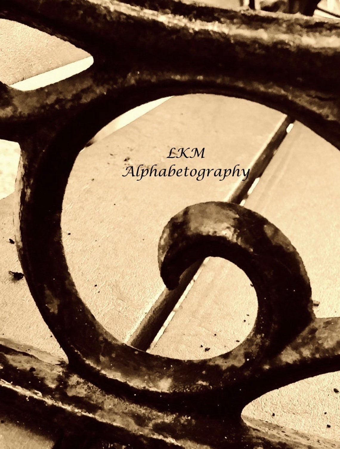 Alphabet Photography: Letter G - Etsy