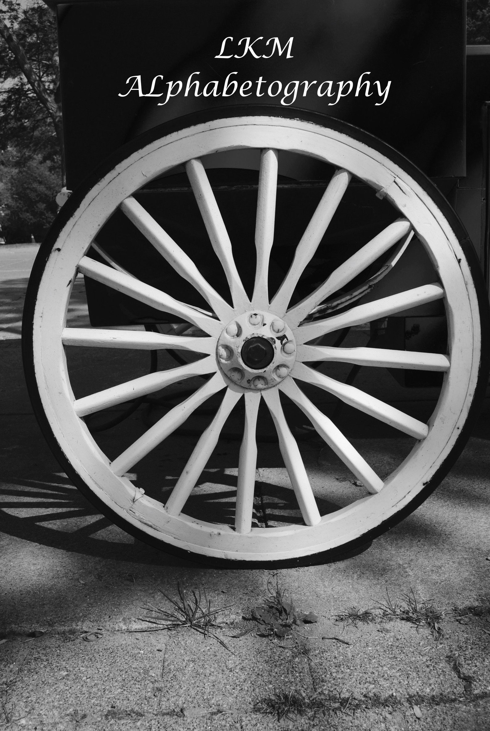 Alphabet Photography: Letter O - Etsy