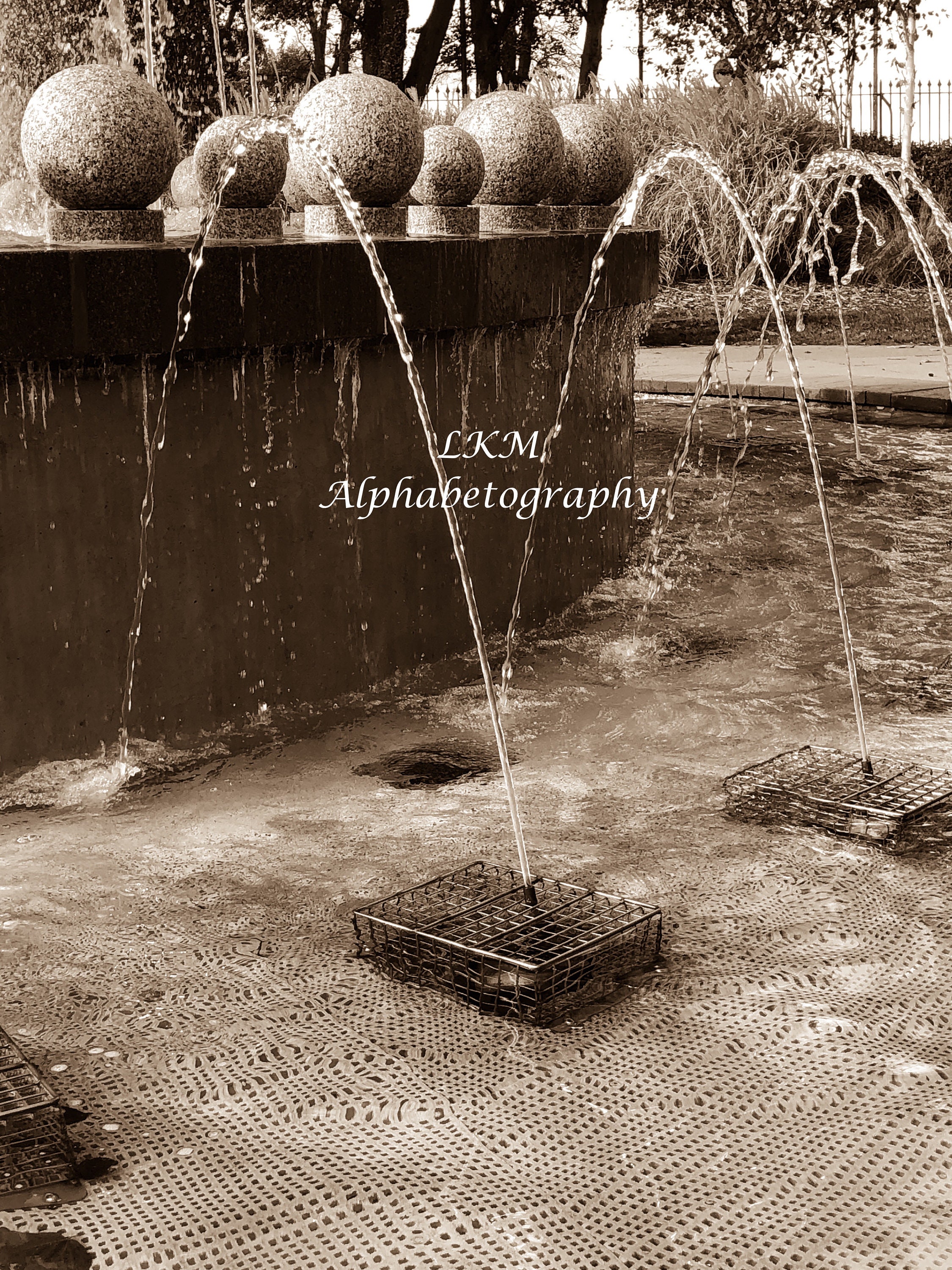 Alphabet Photography: Letter M - Etsy