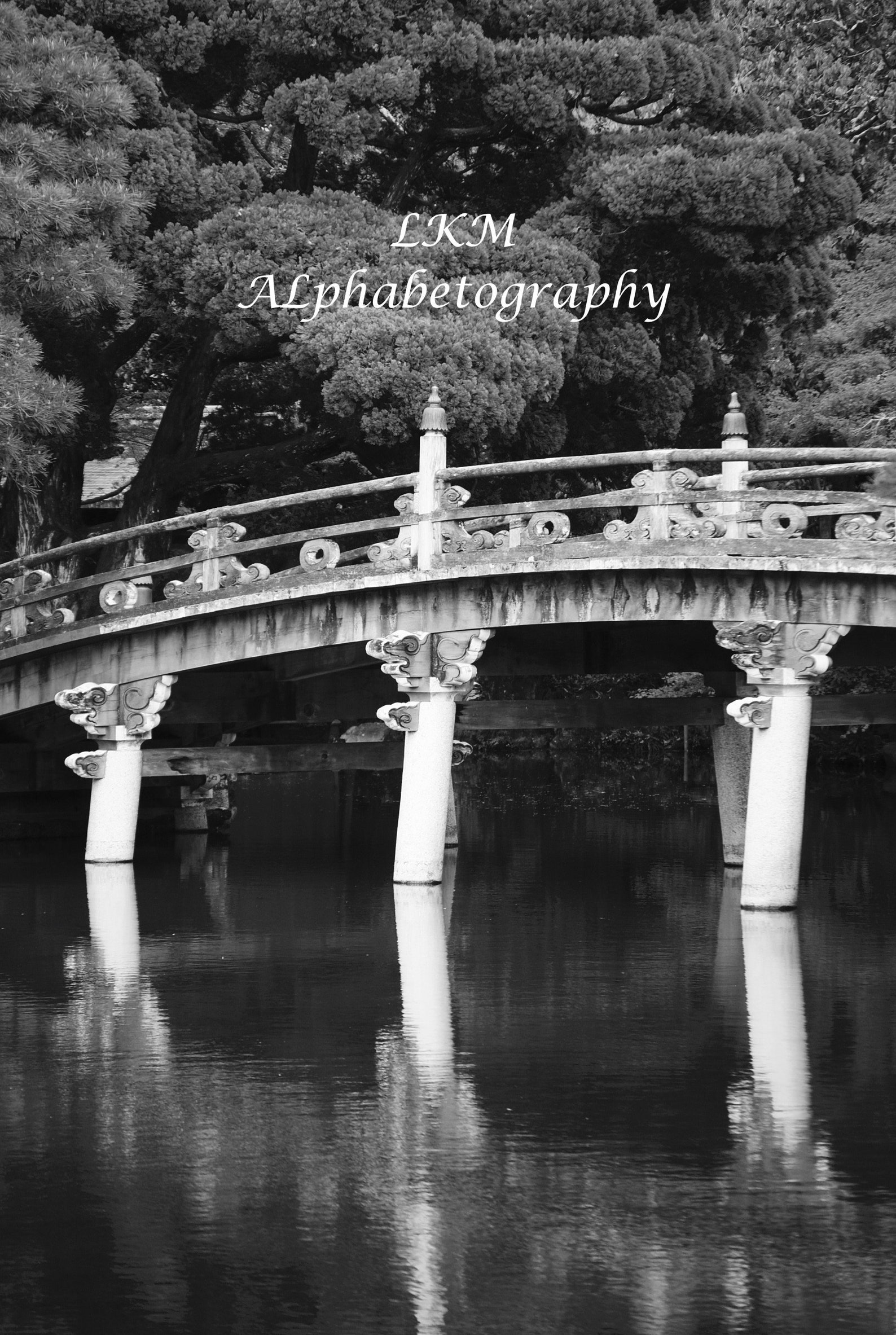 Alphabet Photography: Letter M - Etsy