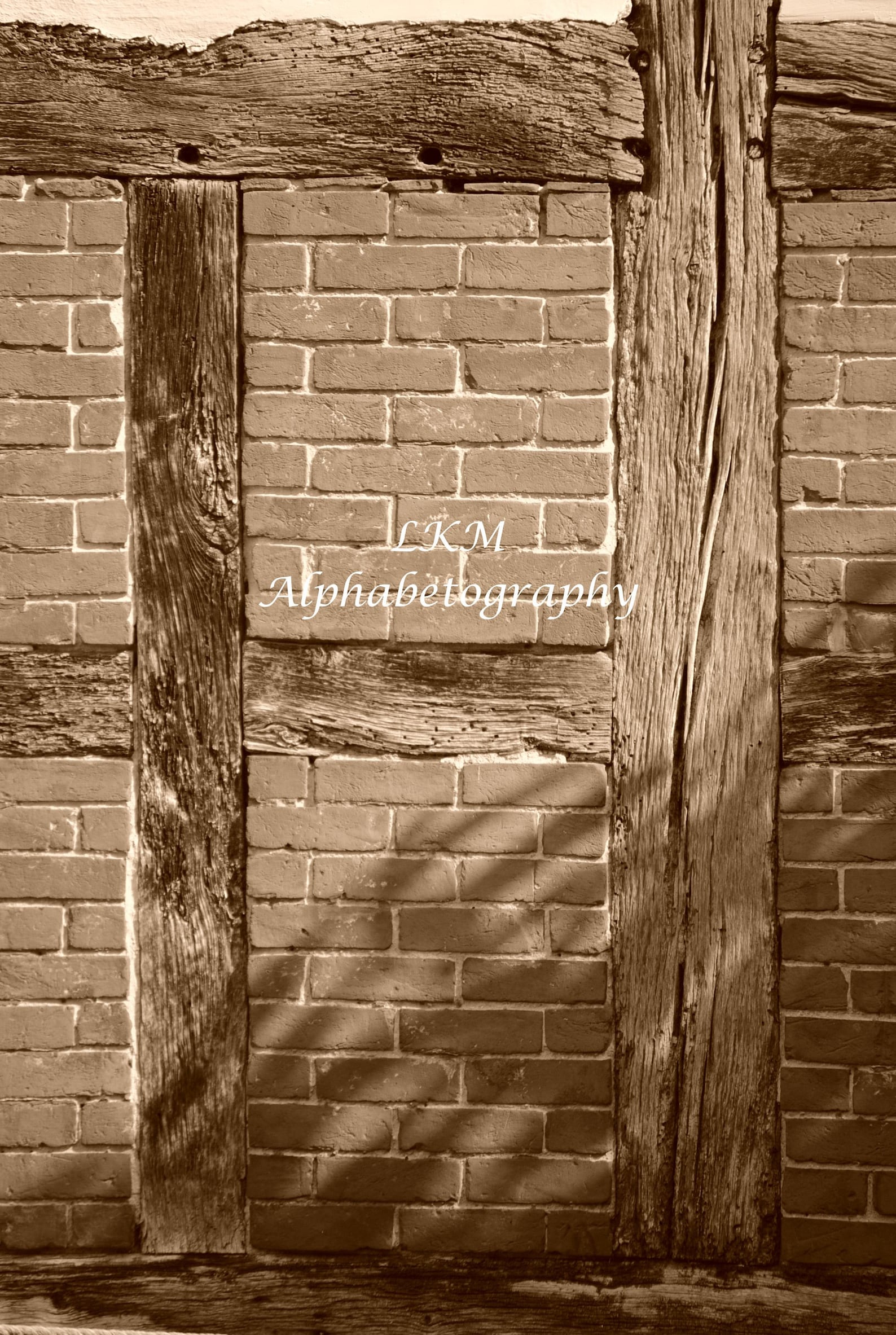 Alphabet Photography: Letter H - Etsy