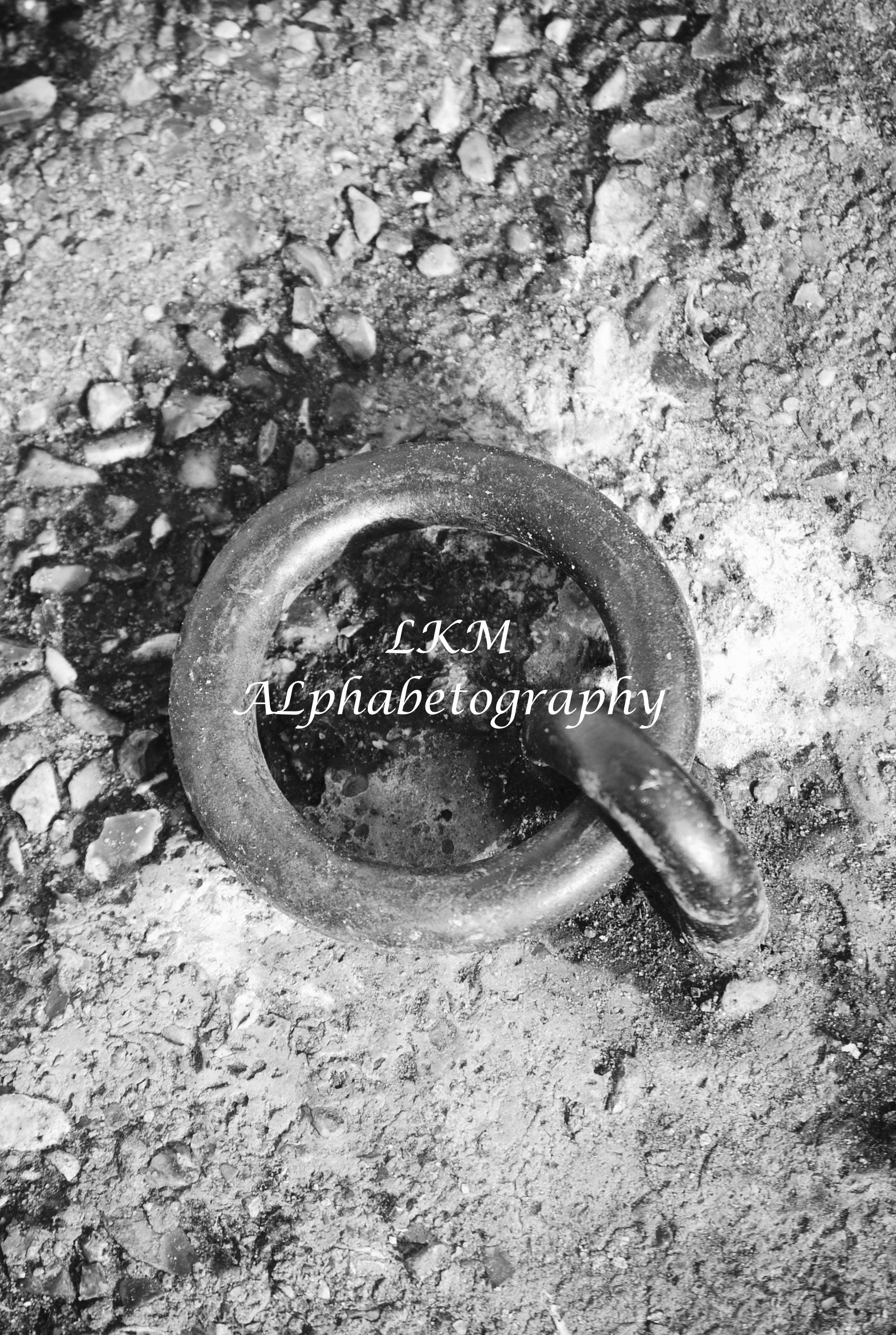 Alphabet Photography: Letter Q Photo - Etsy Canada