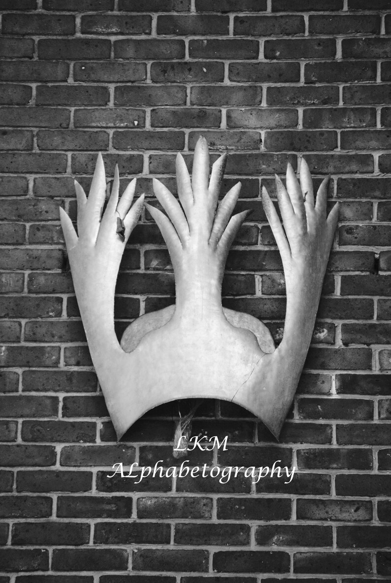 Alphabet Photography: Letter W Photo - Etsy