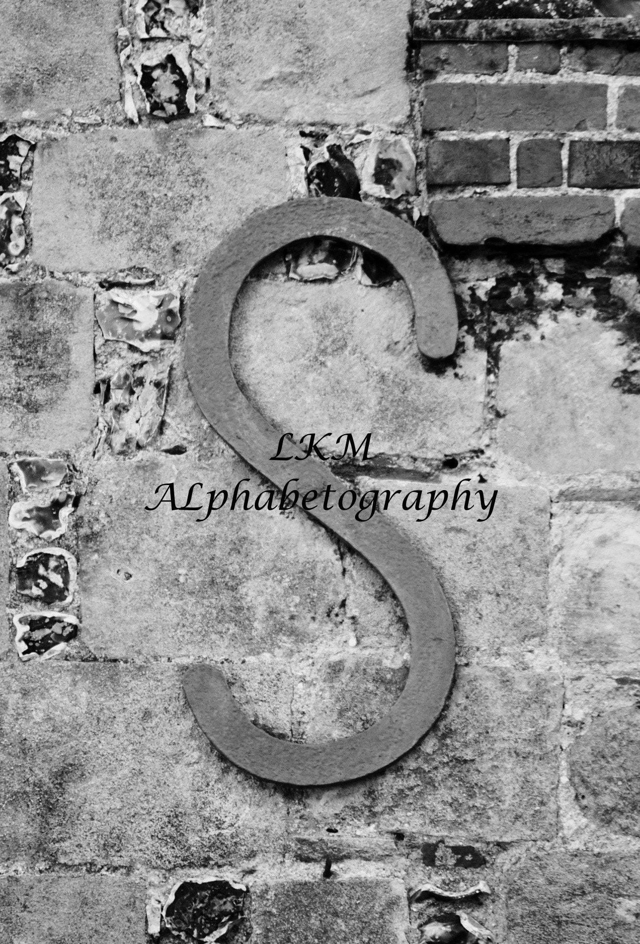 Alphabet Photography: Letter S - Etsy