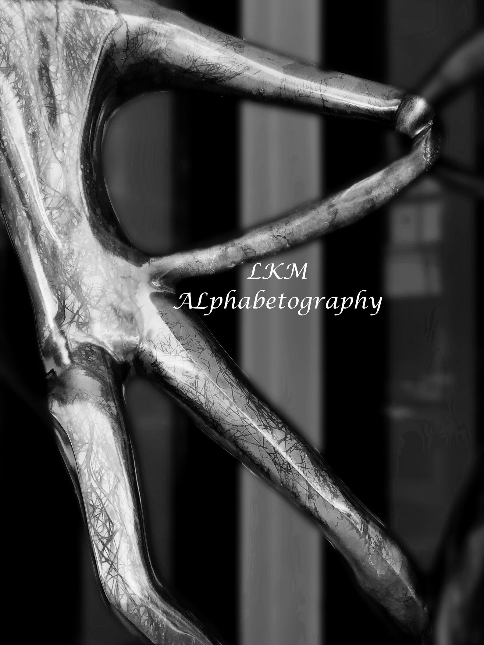 Alphabet Photography: Letter R Photo | Etsy