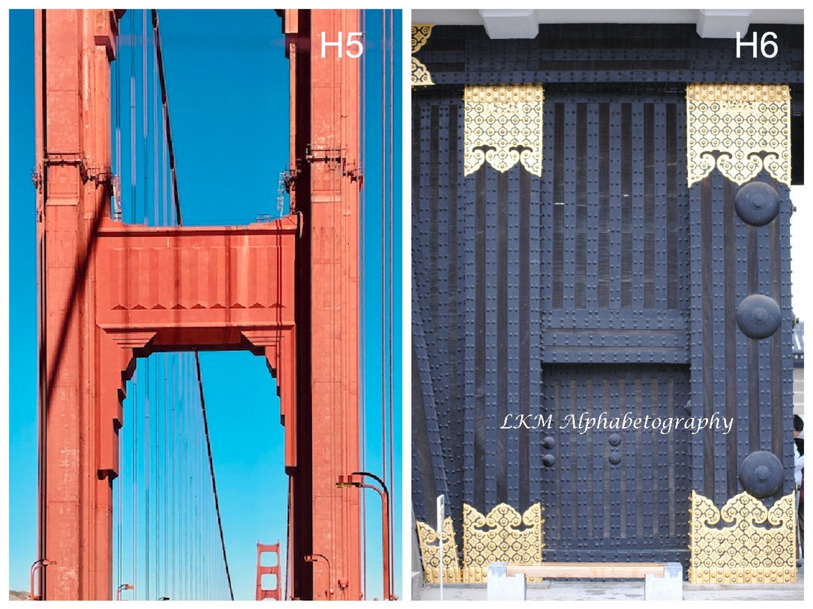 Alphabet Photography: Letter H - Etsy