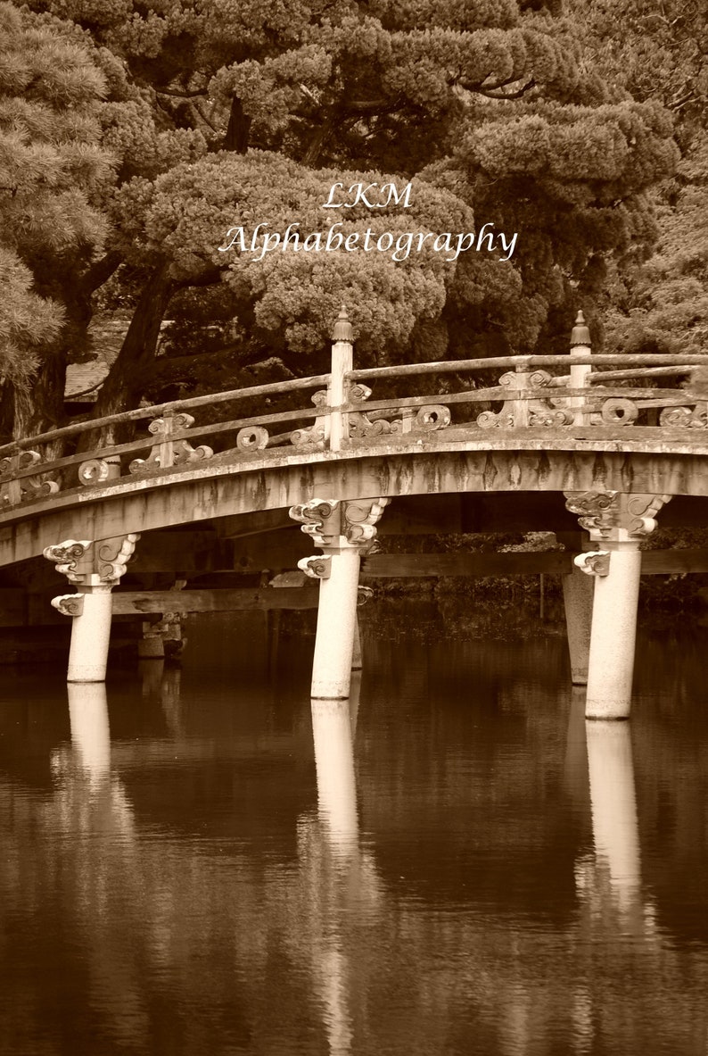 Alphabet Photography: Letter M - Etsy