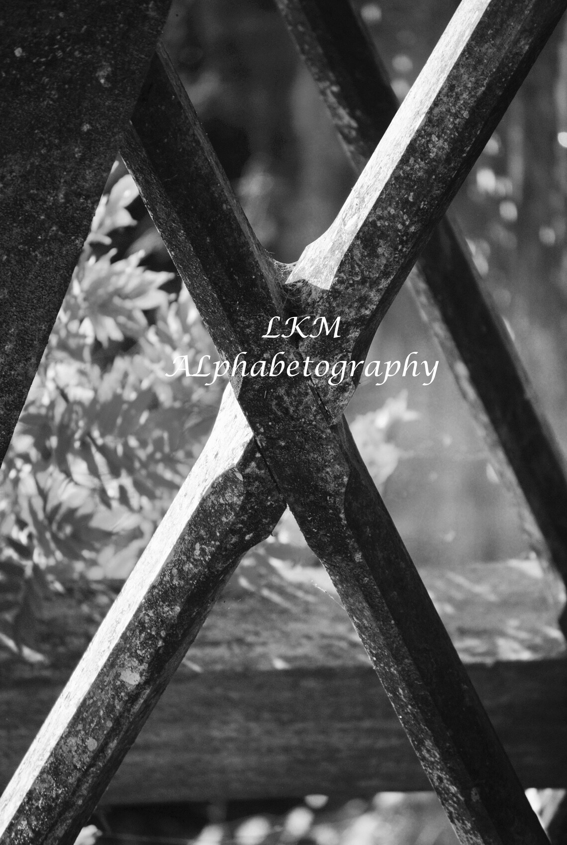 Alphabet Photography: Letter X Photo - Etsy