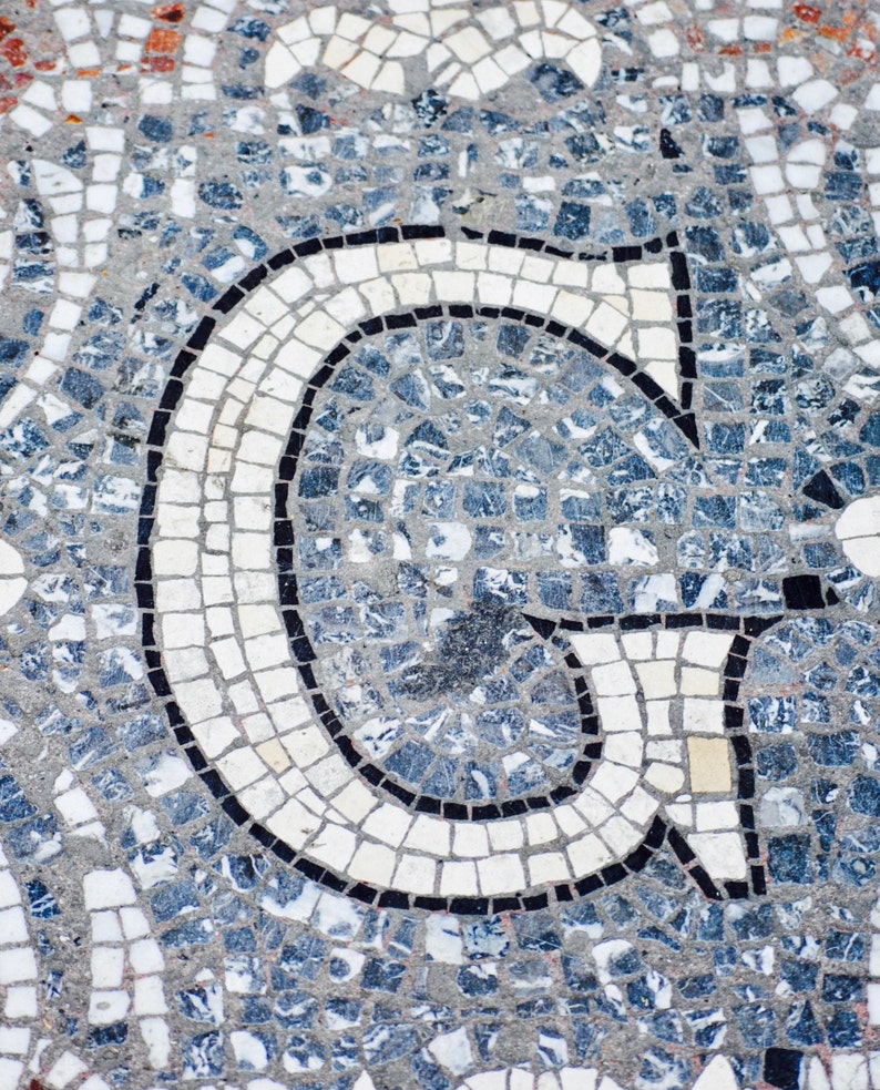 Alphabet Photography: Letter G - Etsy