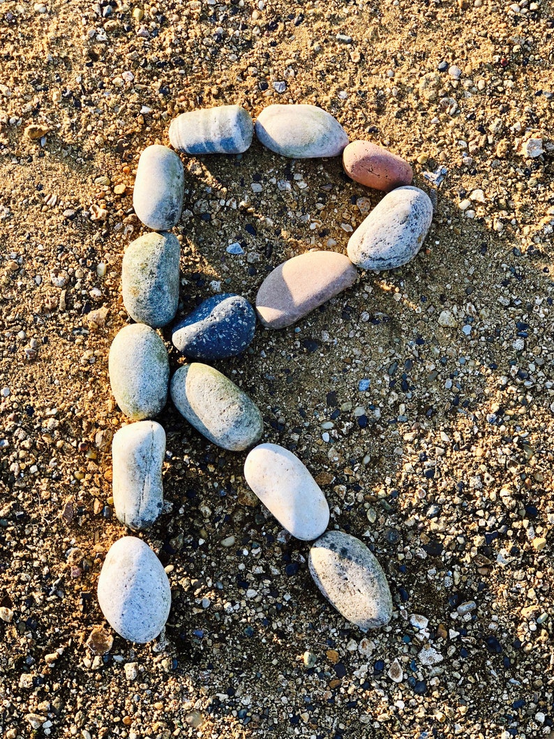 Alphabet Photography: Letter R Photo - Etsy