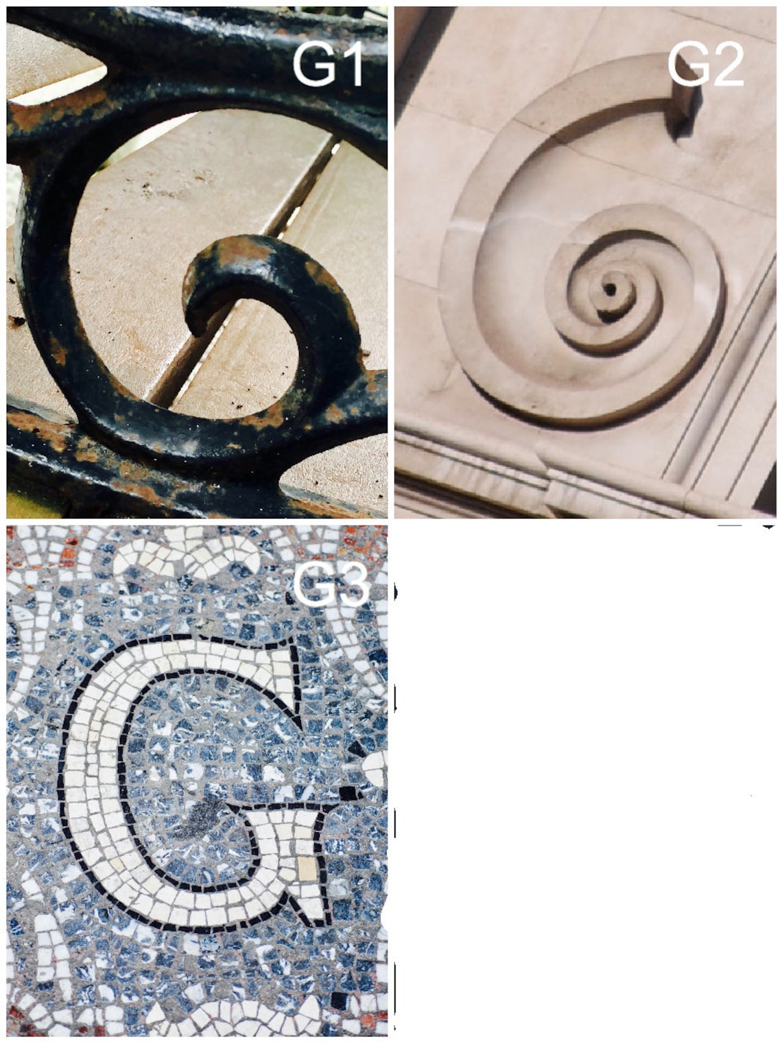 Alphabet Photography: Letter G - Etsy