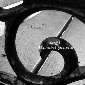 Alphabet Photography: Letter G - Etsy