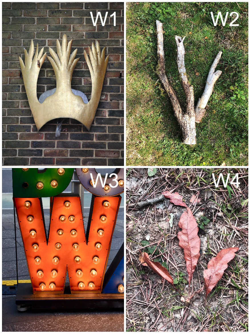 Alphabet Photography: Letter W Photo - Etsy