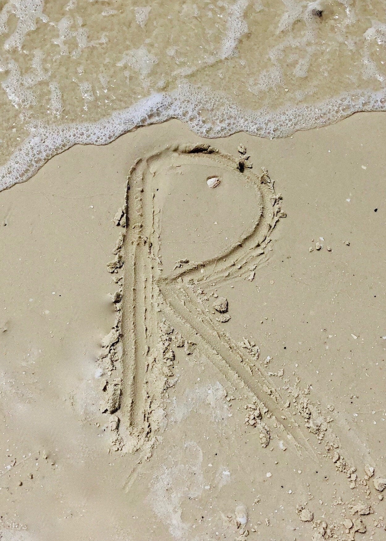 Alphabet Photography: Letter R Photo - Etsy