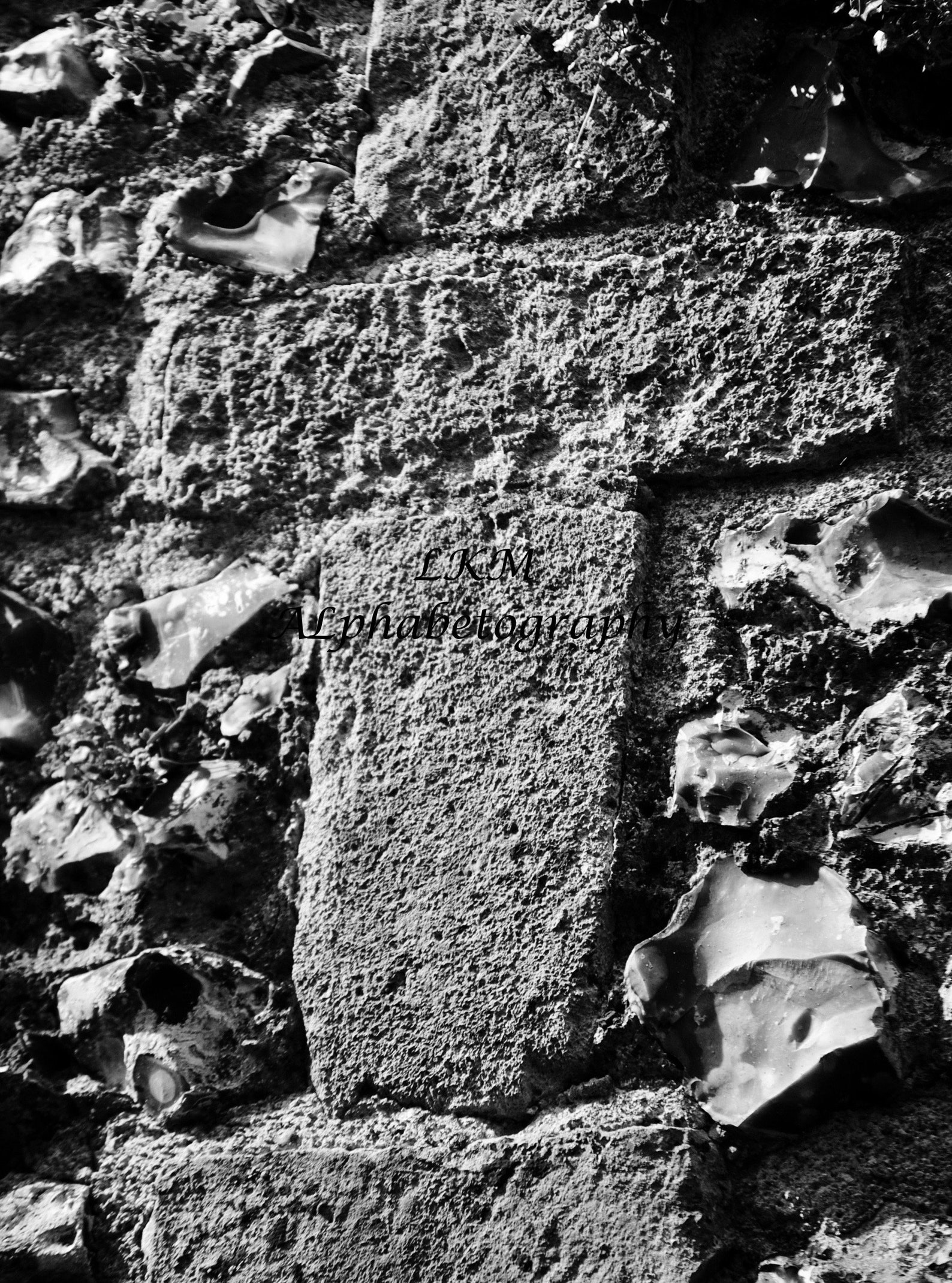Alphabet Photography: Letter T - Etsy