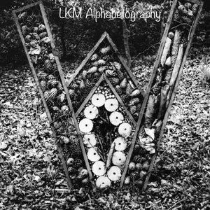 Alphabet Photography: Letter W Photo - Etsy