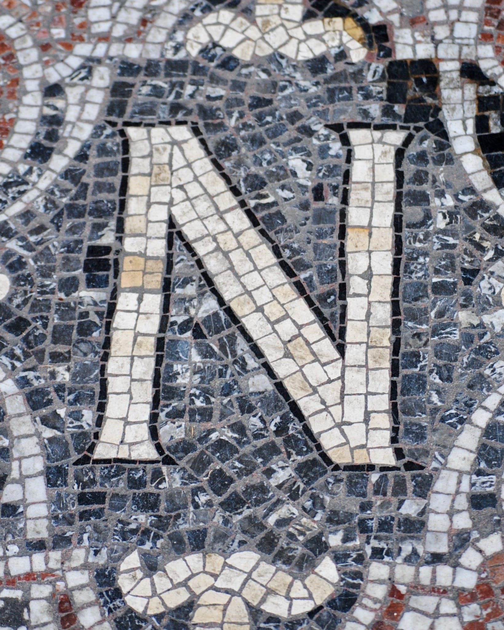 Alphabet Photography: Letter N - Etsy