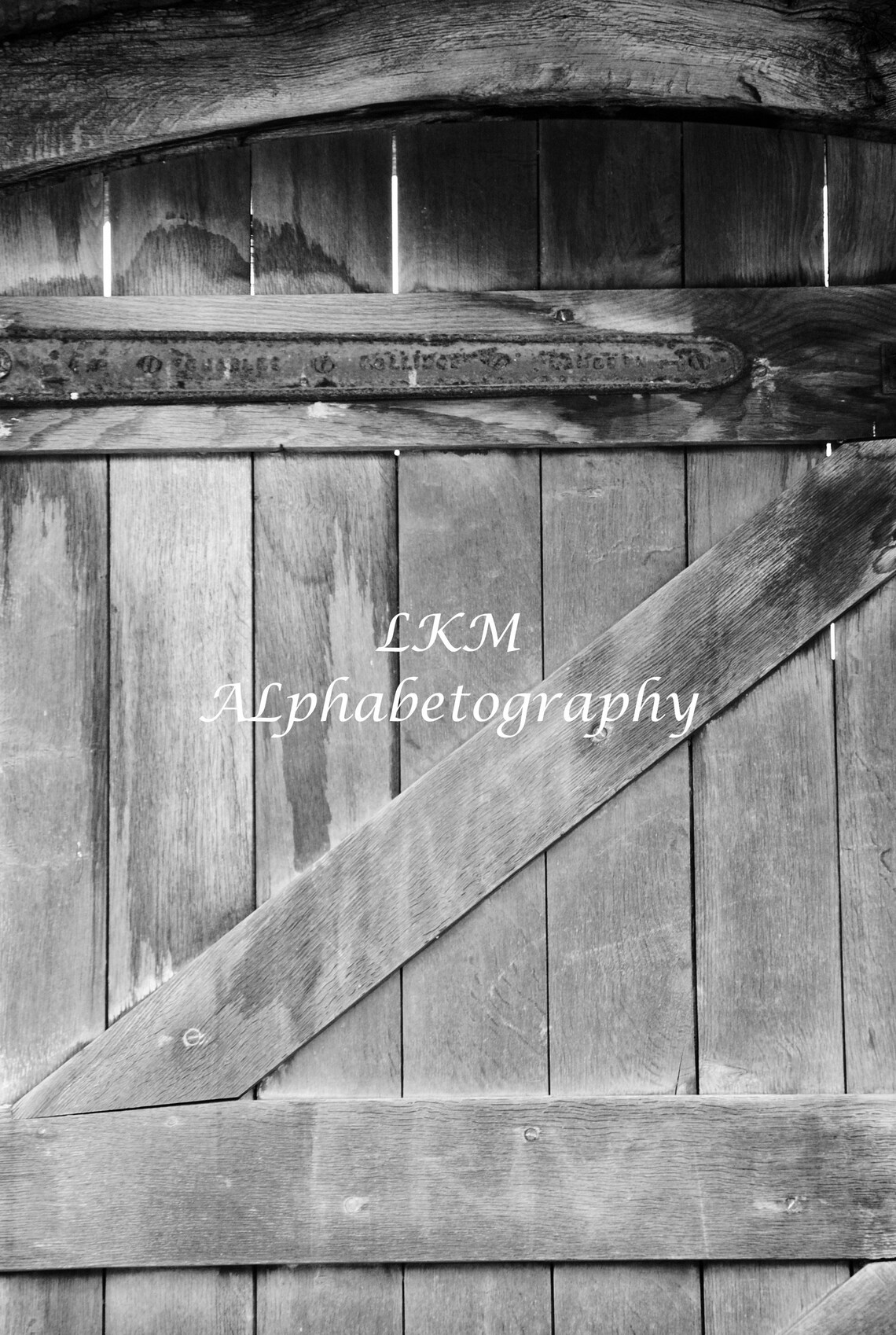 Alphabet Photography: Letter Z photo | Etsy