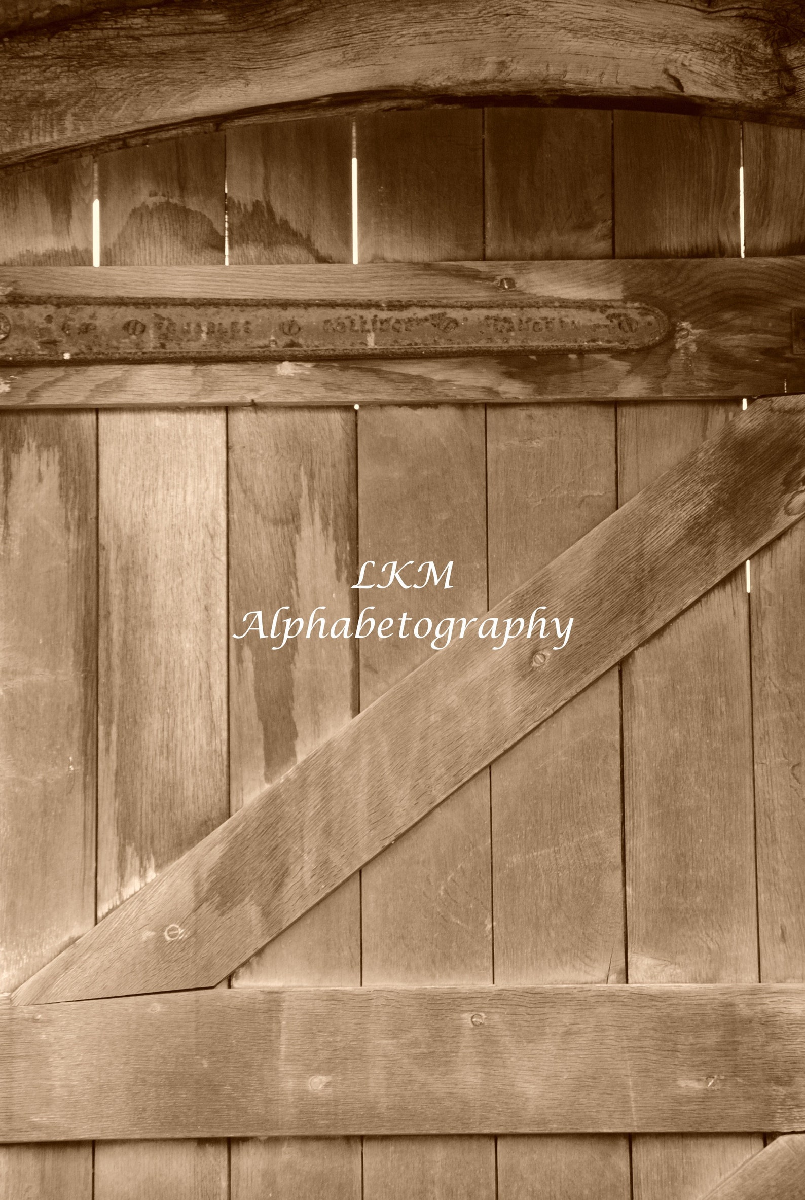 Alphabet Photography: Letter Z photo | Etsy