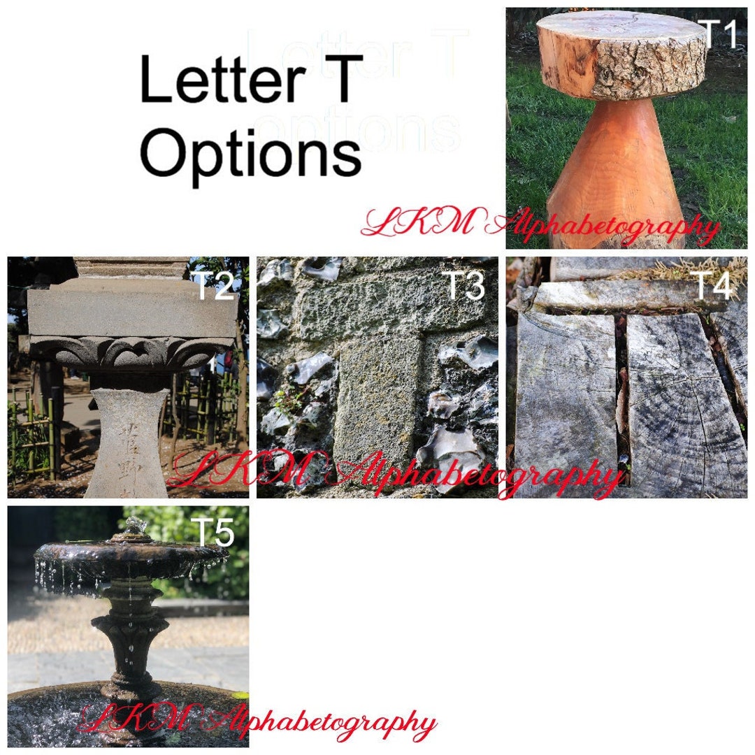 Alphabet Photography: Letter T - Etsy