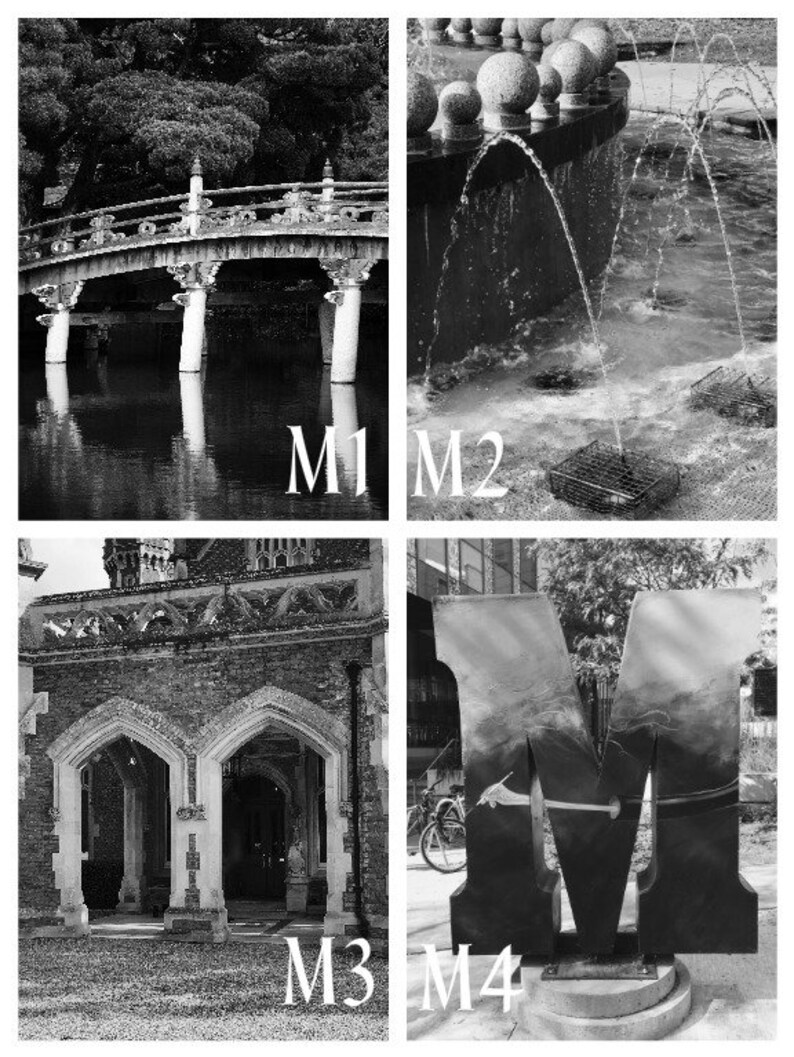 Alphabet Photography: Letter M - Etsy